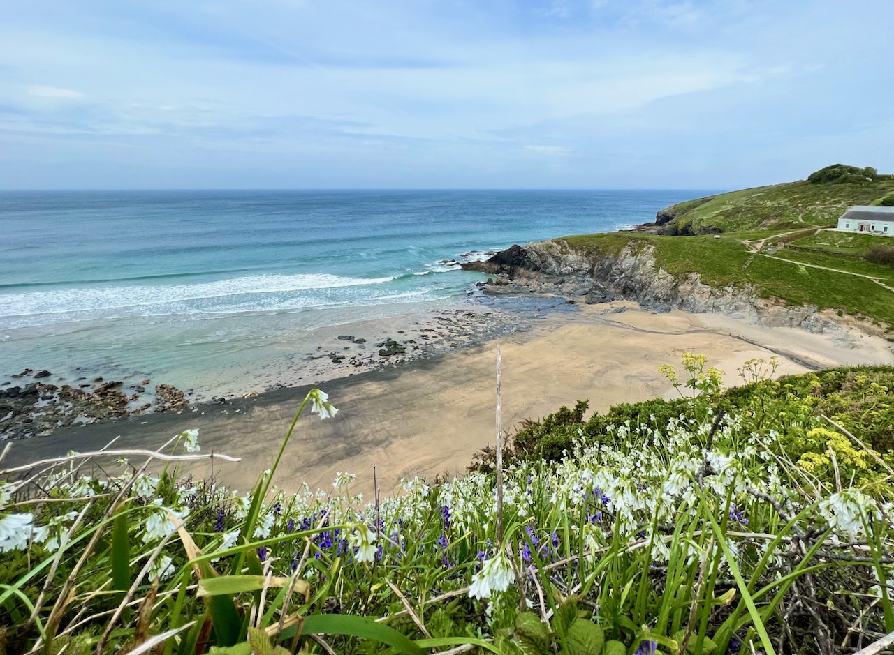 Kynance Cove - 2025 Guide - Cornwall Holidays
